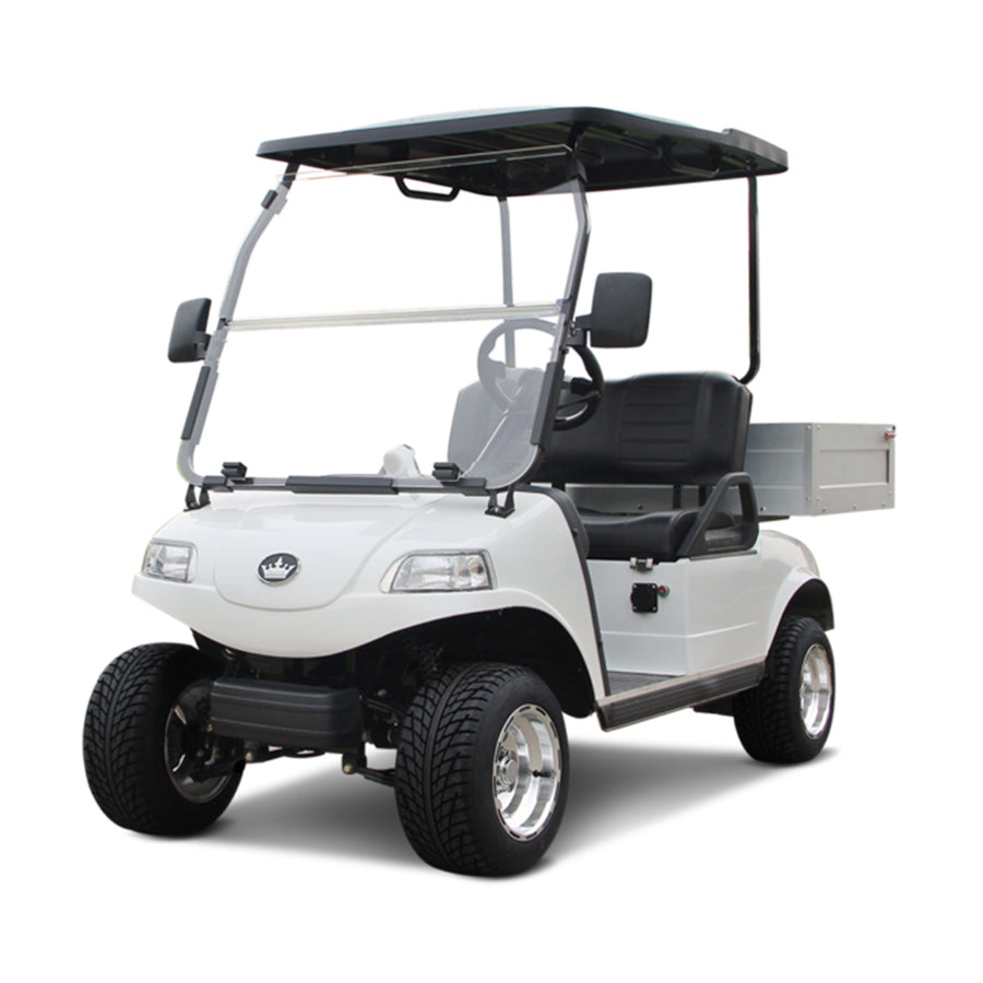 New Evolution Turfman 200 2-Passenger Electric Utility Golf Car (Lithi ...