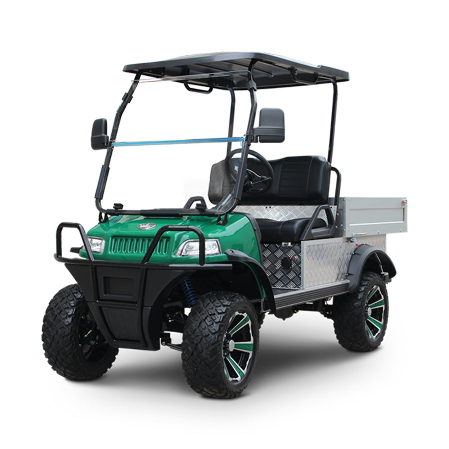 Evolution Turfman 800 - 2 seater – Electric Car Sales and Service Inc ...